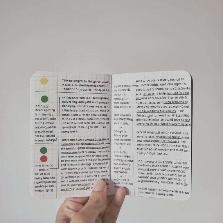 Unsure What to Write in Your Commonplace Book? Here are 9 Ideas to Get ...