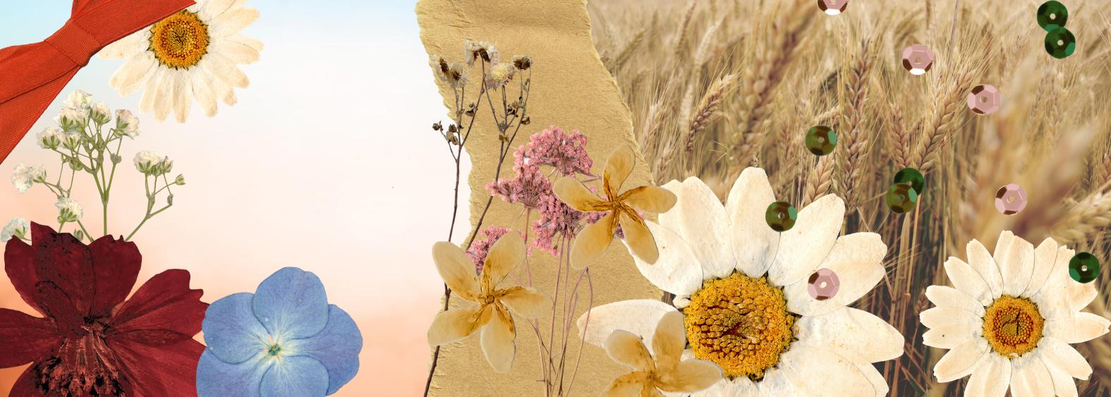 Celebrating Lammas / Lughnasadh: A Guide to Celebrate the First Harvest ...